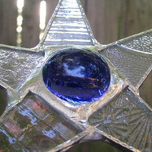 7 Inch Jumbo Blueberry - Etsy