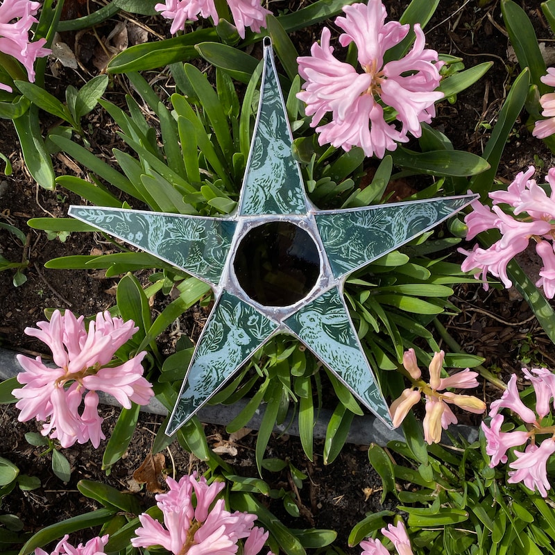 Piggy and Dirt Star - Etsy