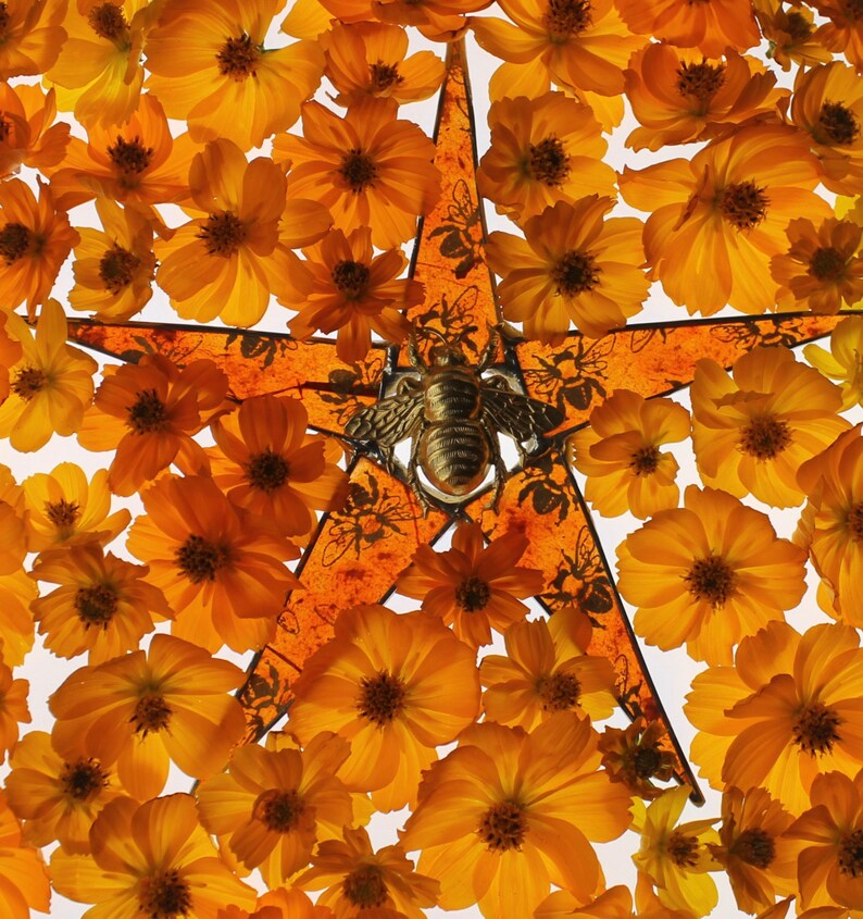 Bee Love Star- Lacquered Paper on Glass Points With Brass Bee Center- 9 ...