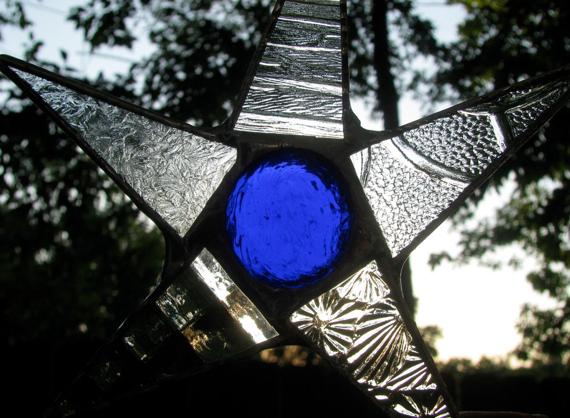 7 Inch Jumbo Blueberry | Etsy