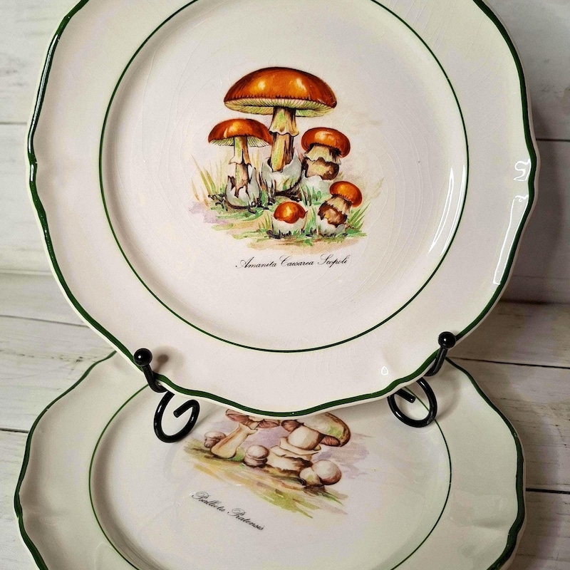 Amand China - Etsy