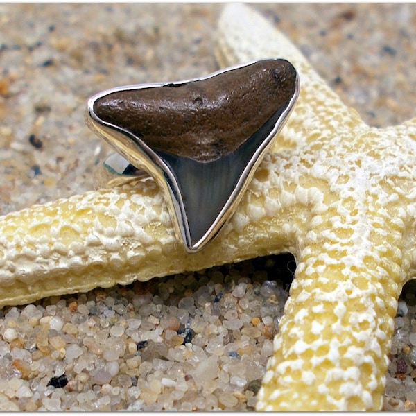 Shark Tooth Ring - Etsy
