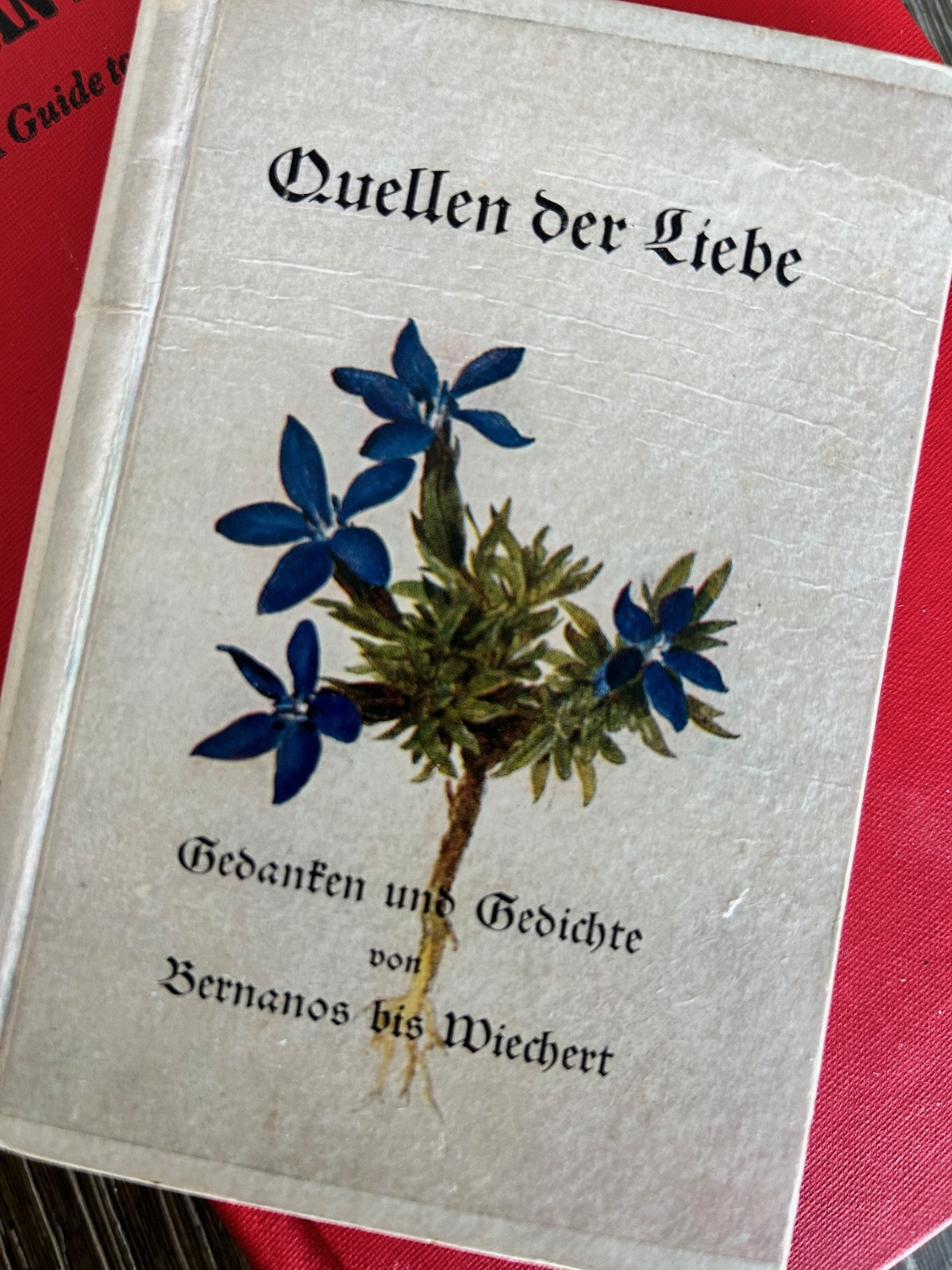 Quellen Der Liebe Source of Love Small Book German Text 1955 - Etsy