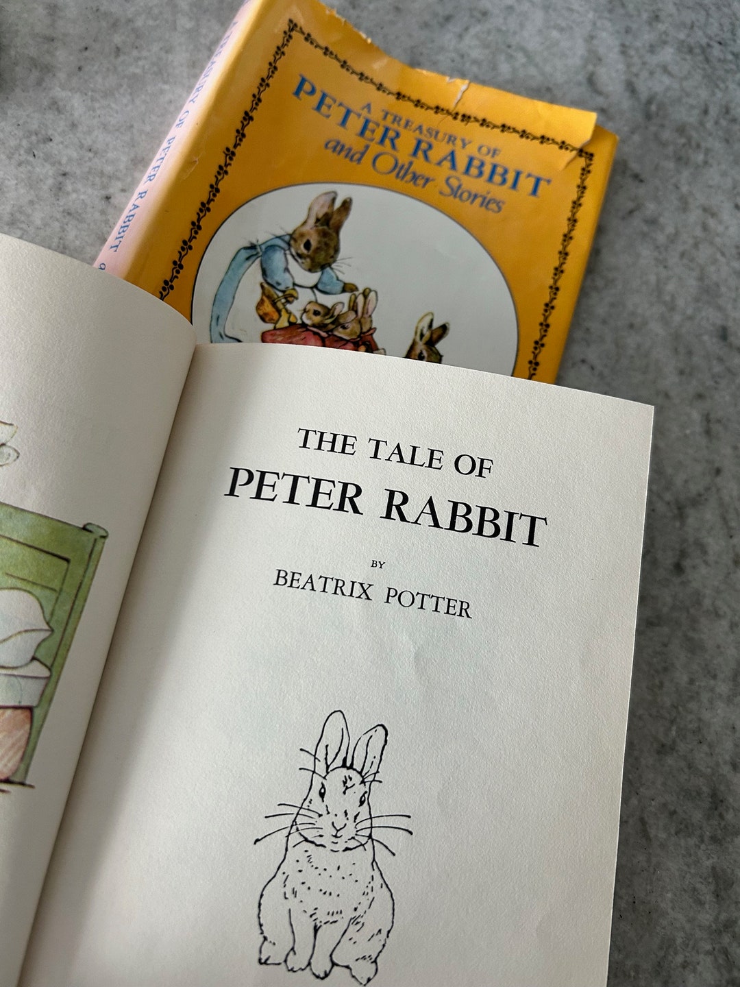 A Treasury of Peter Rabbit and Other Stories Beatrix Potter Publisher ...