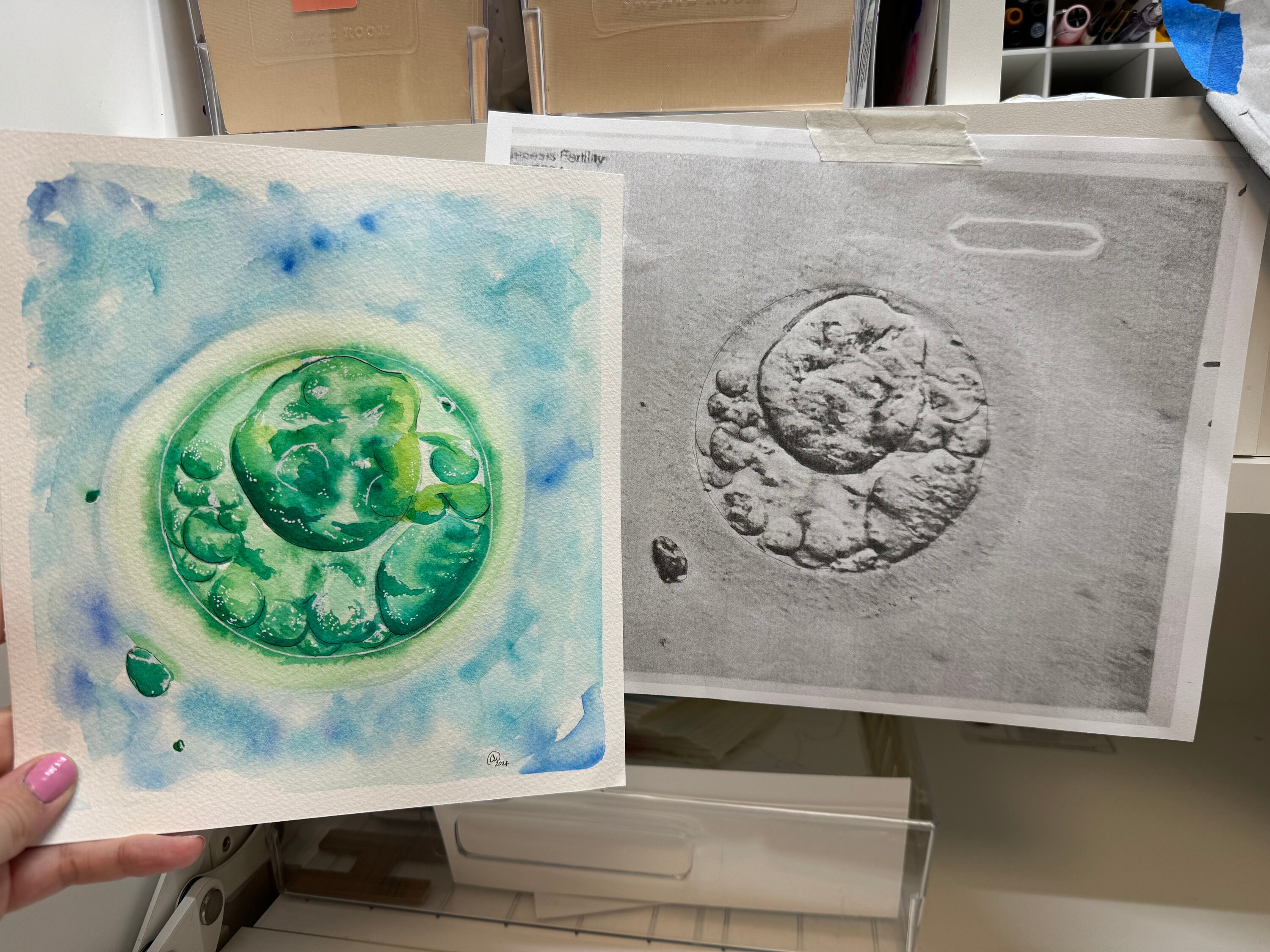 Custom IVF Embryo Watercolor Painting: Personalized Nursery Art - Etsy