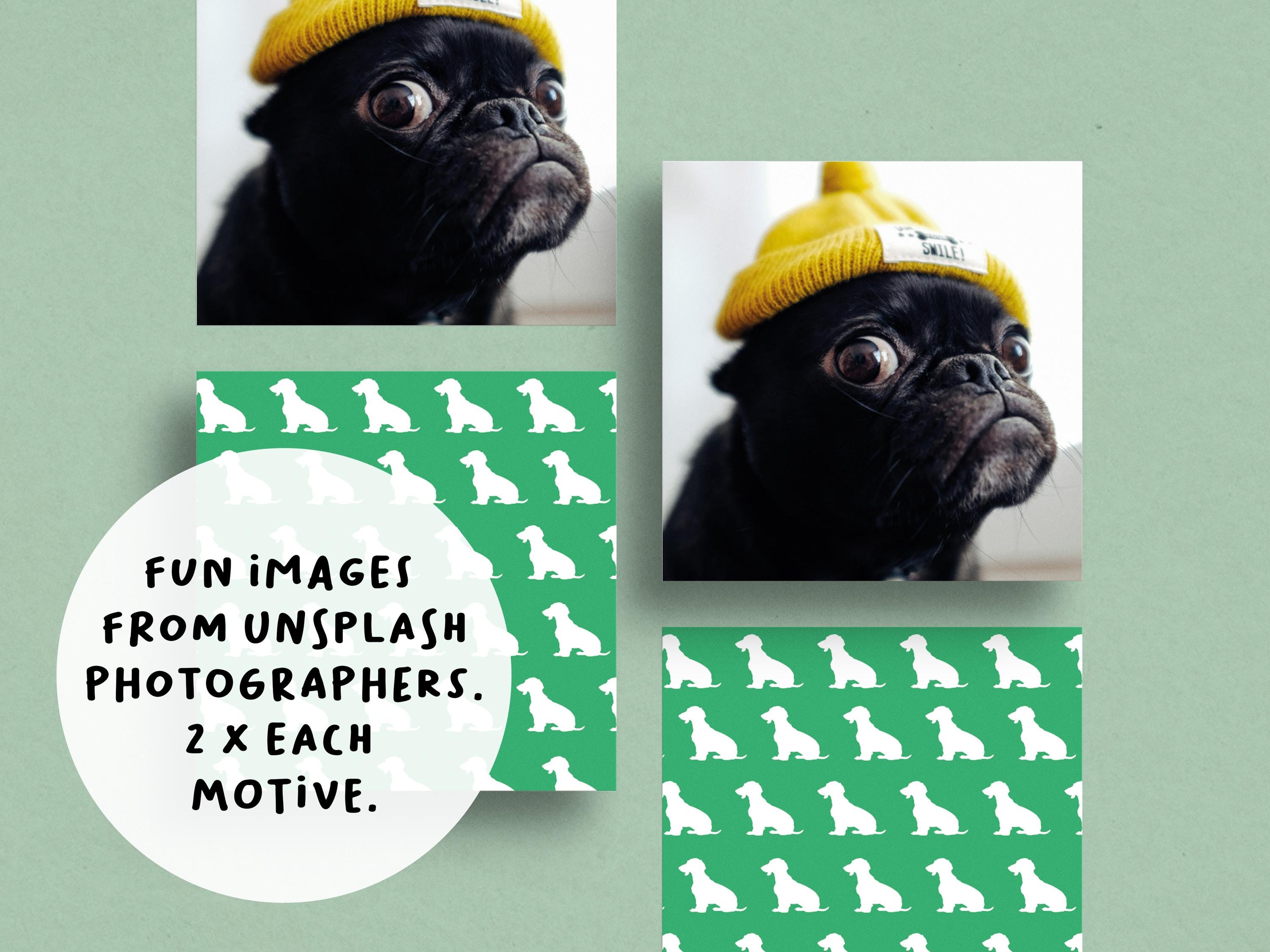 Dog Memory Matching Game – Printable Dog Game | 48 Cards + Back Design ...