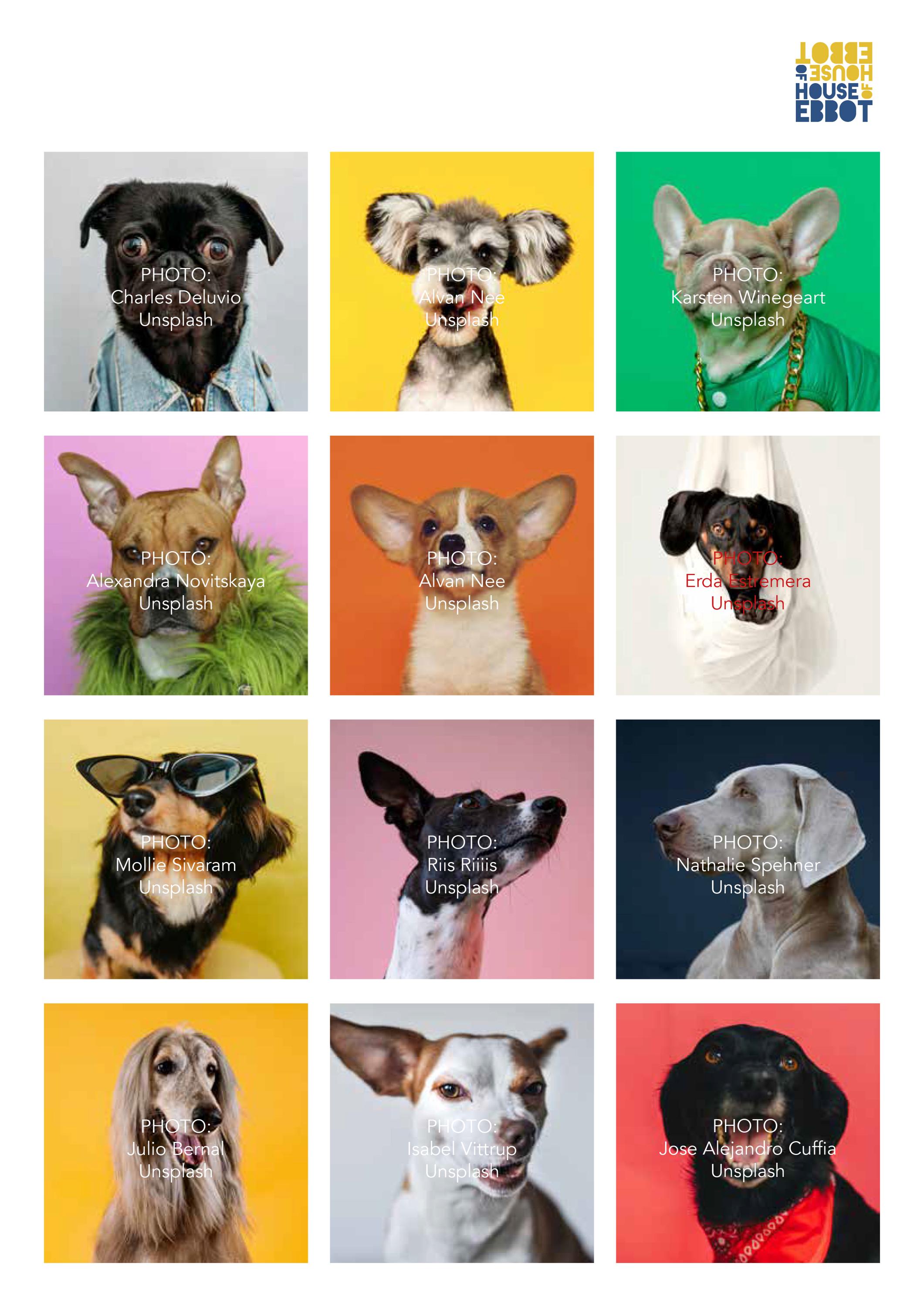 Dog Memory Matching Game – Printable Dog Game | 48 Cards + Back Design ...