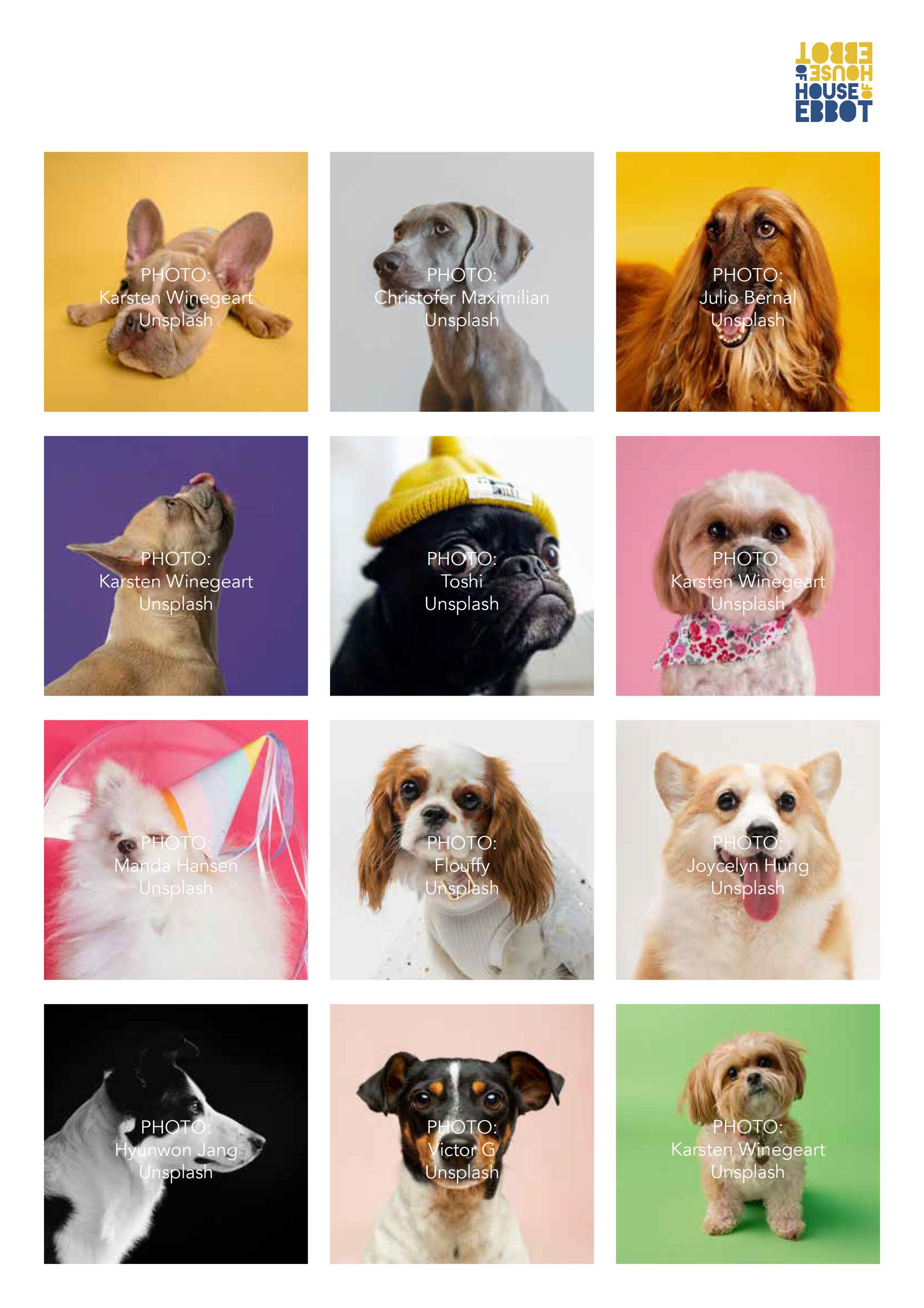 Dog Memory Matching Game – Printable Dog Game | 48 Cards + Back Design ...