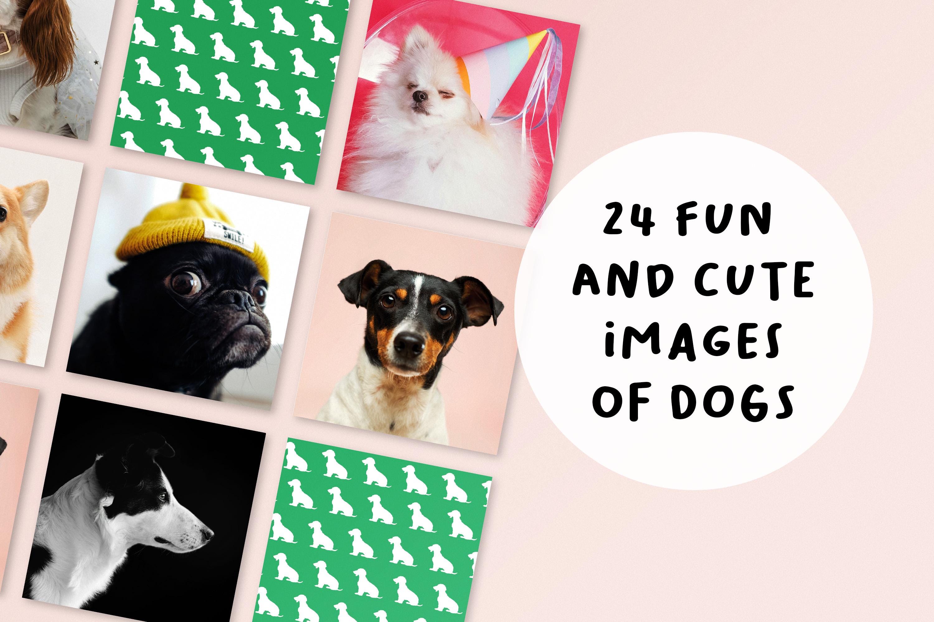 Dog Memory Matching Game – Printable Dog Game | 48 Cards + Back Design ...