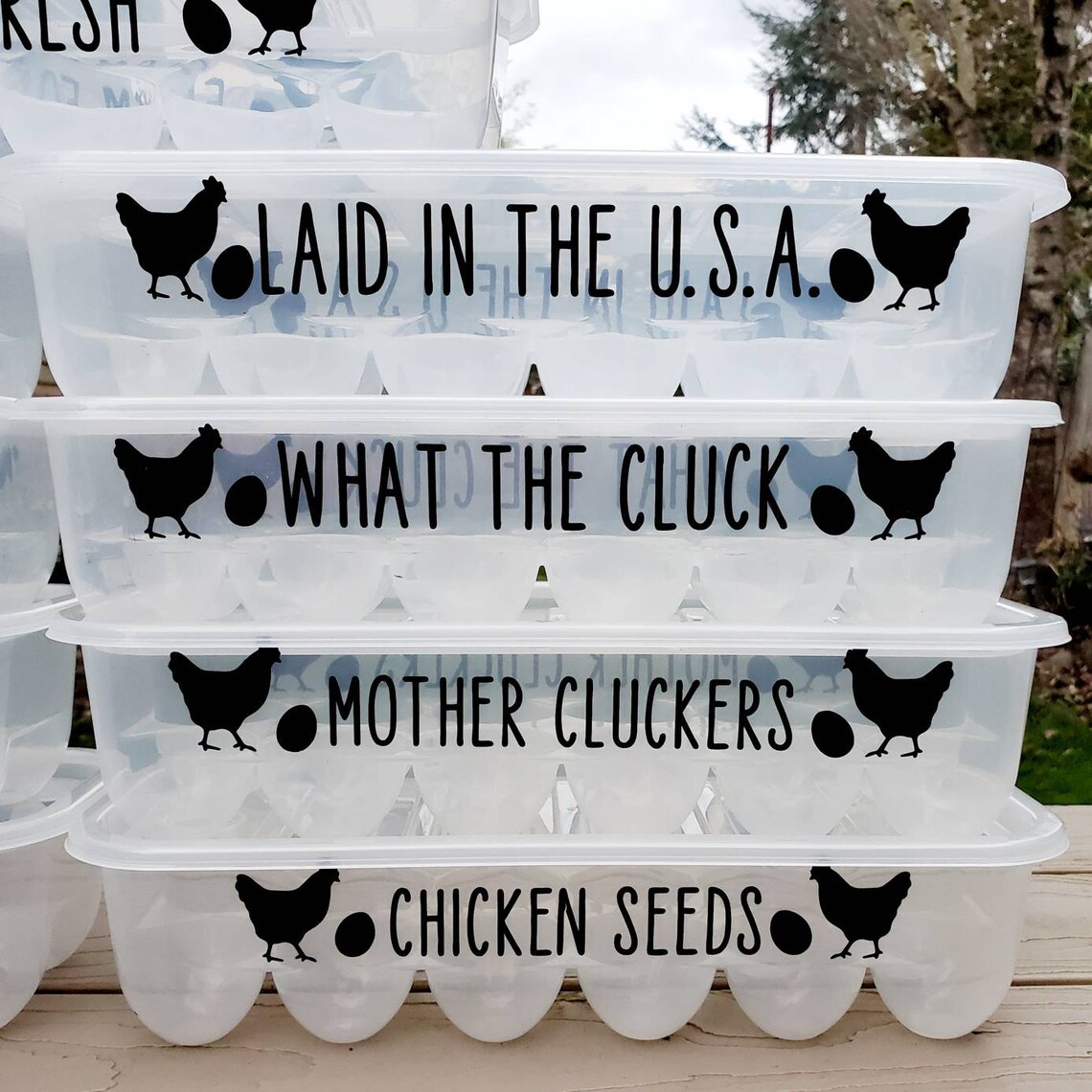 Funny Egg Storage Containers Plastic Egg Holder With Funny Sayings on ...