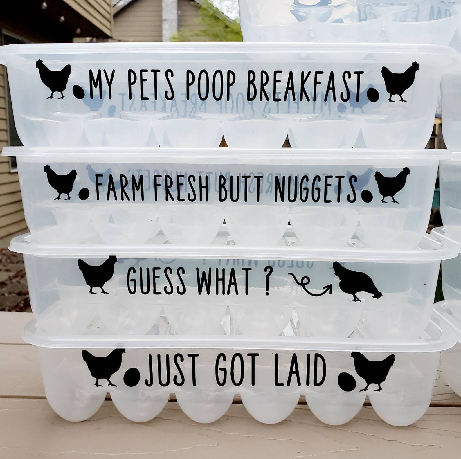 Funny Egg Storage Containers Plastic Egg Holder With Funny Sayings on ...