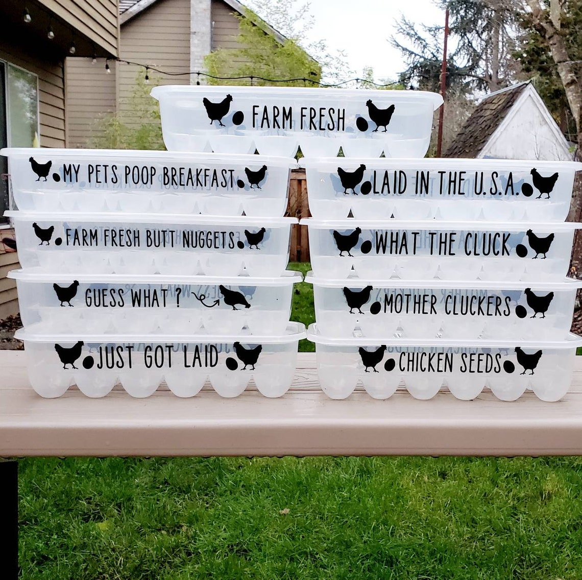 Funny Egg Storage Containers Plastic Egg Holder With Funny Sayings on ...