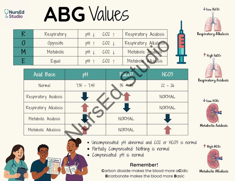 ABG Interpretation Cheat Sheet - Etsy
