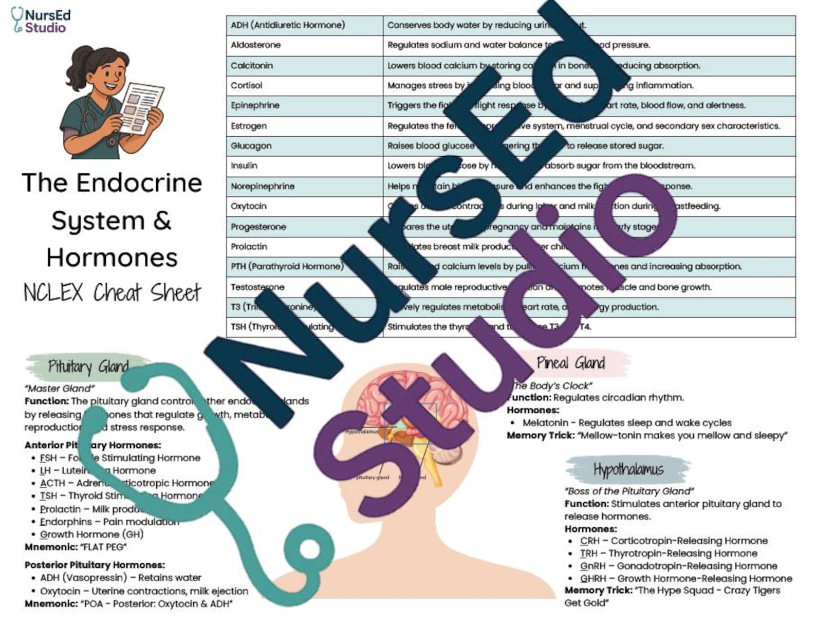 Endocrine Hormones NCLEX Cheat Sheet | Nursing Student Study Guide ...