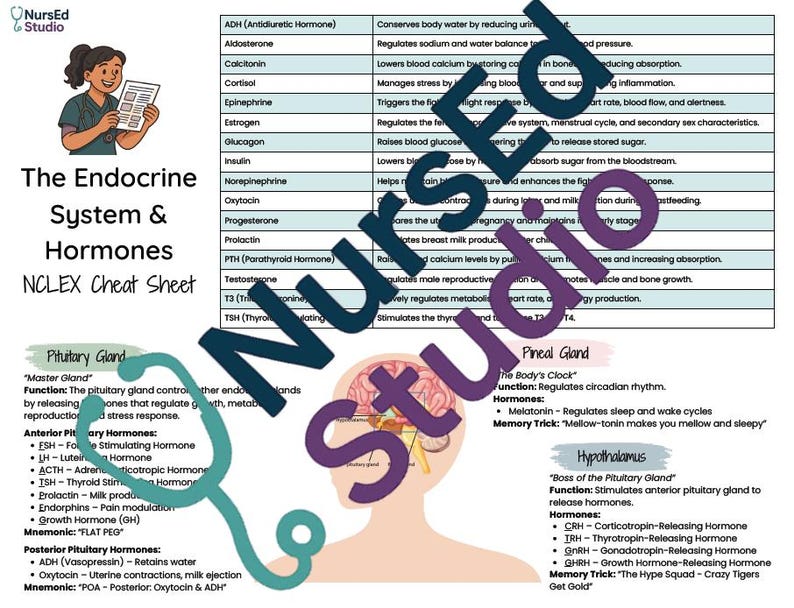 Endocrine Hormones NCLEX Cheat Sheet | Nursing Student Study Guide | Nurse Educator PDF - Etsy