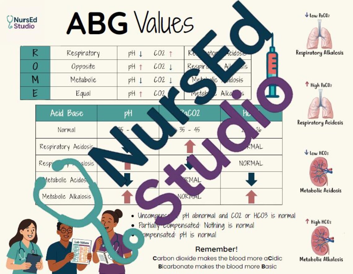 ABG Values Cheat Sheet: Nursing & Med Student Reference (digital ...