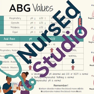 ABG Values Cheat Sheet: Nursing & Med Student Reference (digital ...