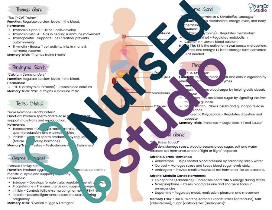 Endocrine Hormones NCLEX Cheat Sheet | Nursing Student Study Guide ...