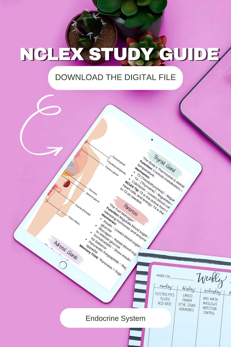 Endocrine Hormones NCLEX Cheat Sheet | Nursing Student Study Guide ...