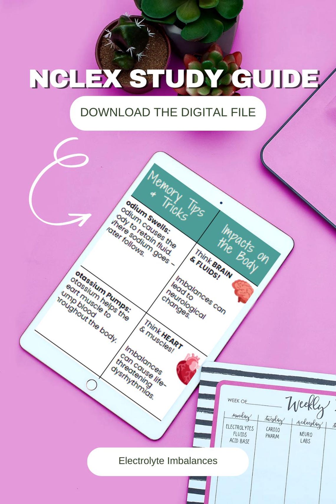 Electrolyte Imbalances Cheat Sheet: Nursing Study Guide (PDF) - Etsy