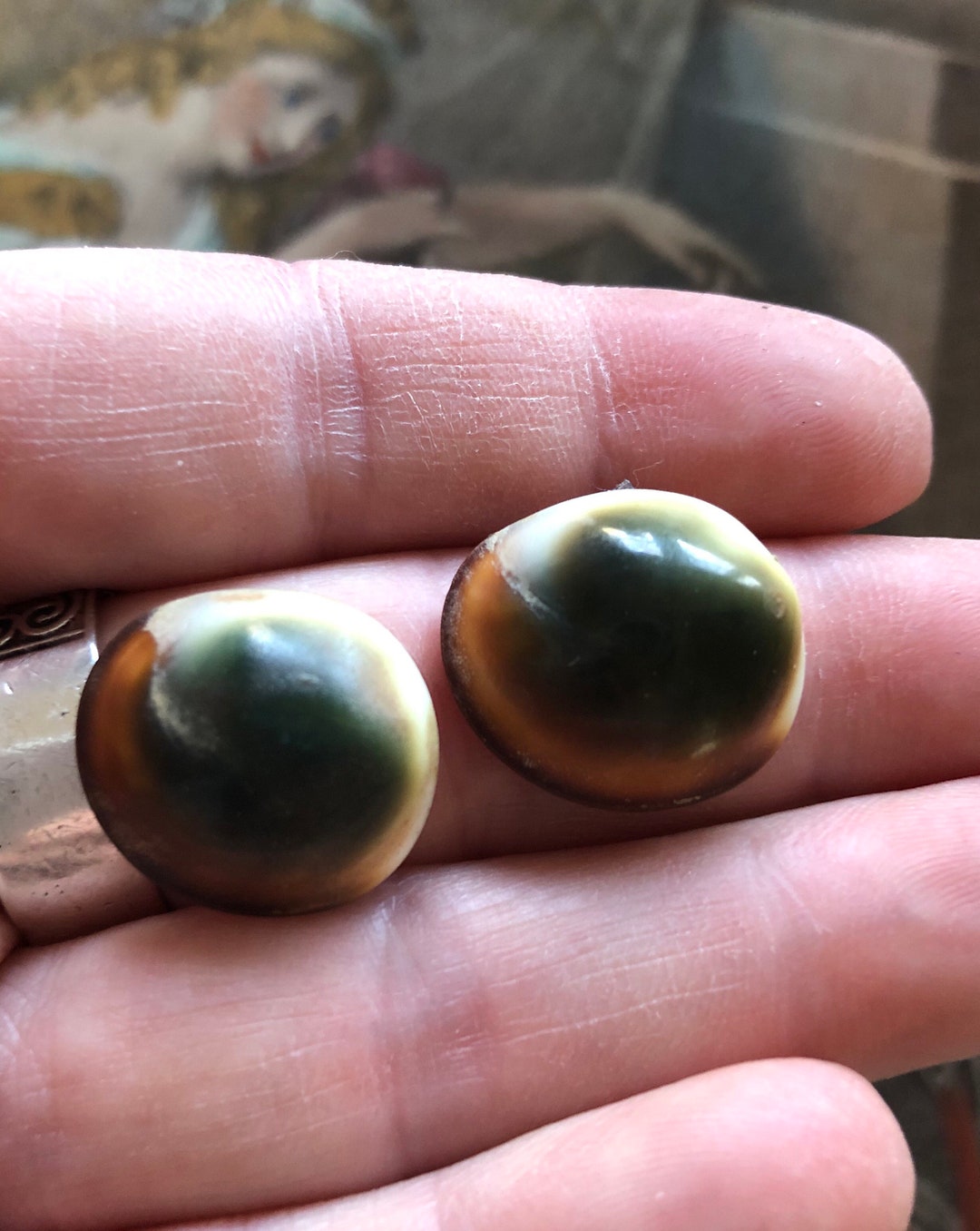 Two Vintage Antique Operculum Shell Destash Jewelry Crafting ...