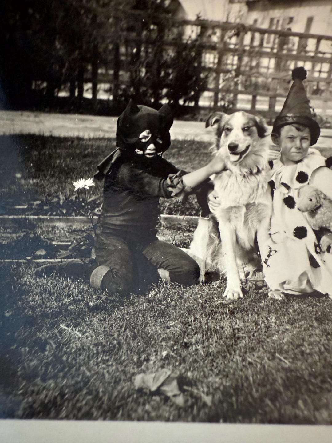 Vintage Halloween Photo Original Velox Photo Adorable Group Great ...