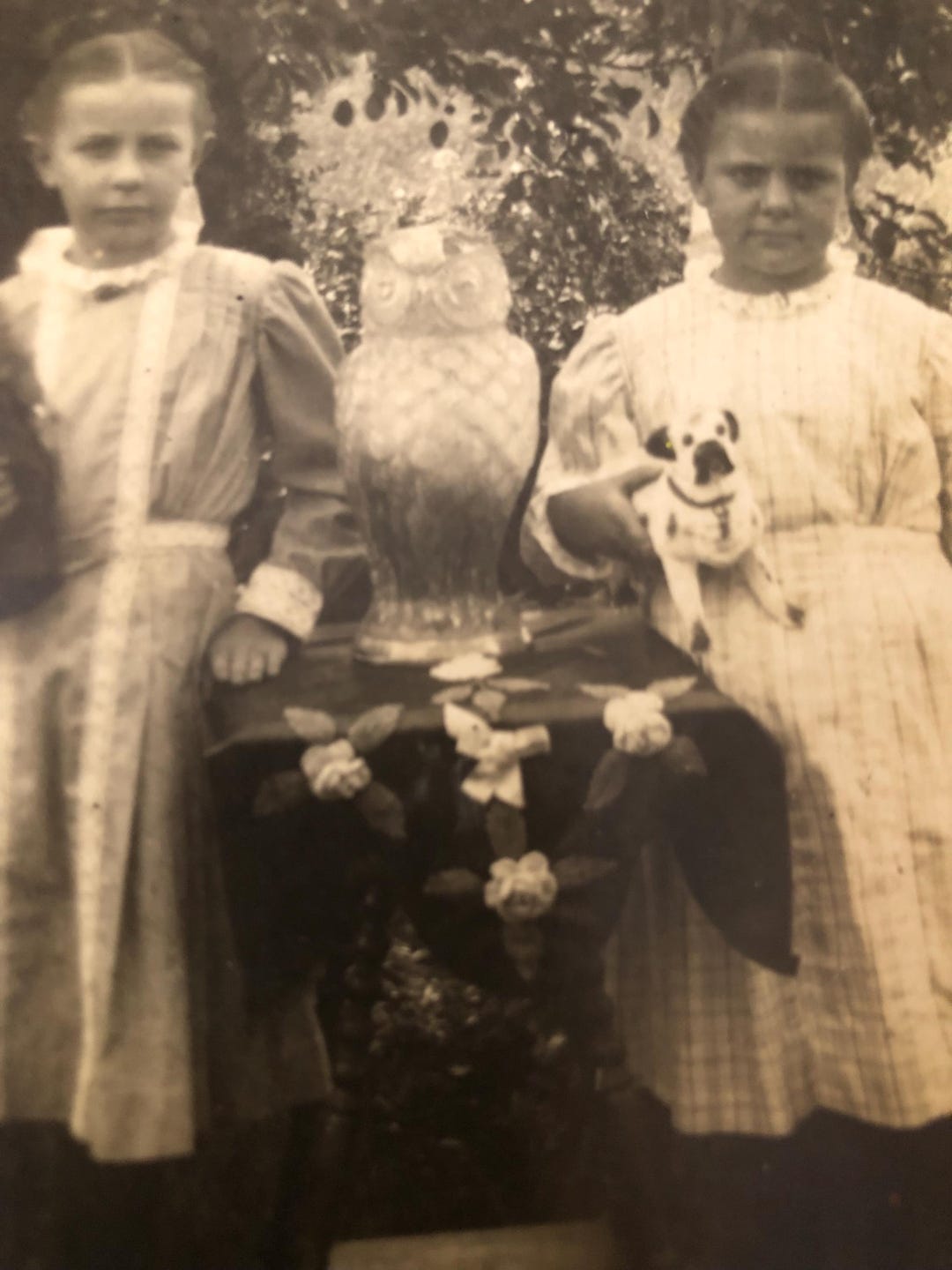 Antique Postcard Halloween Real Photo Postcard Owl Container Decoy Dogs ...