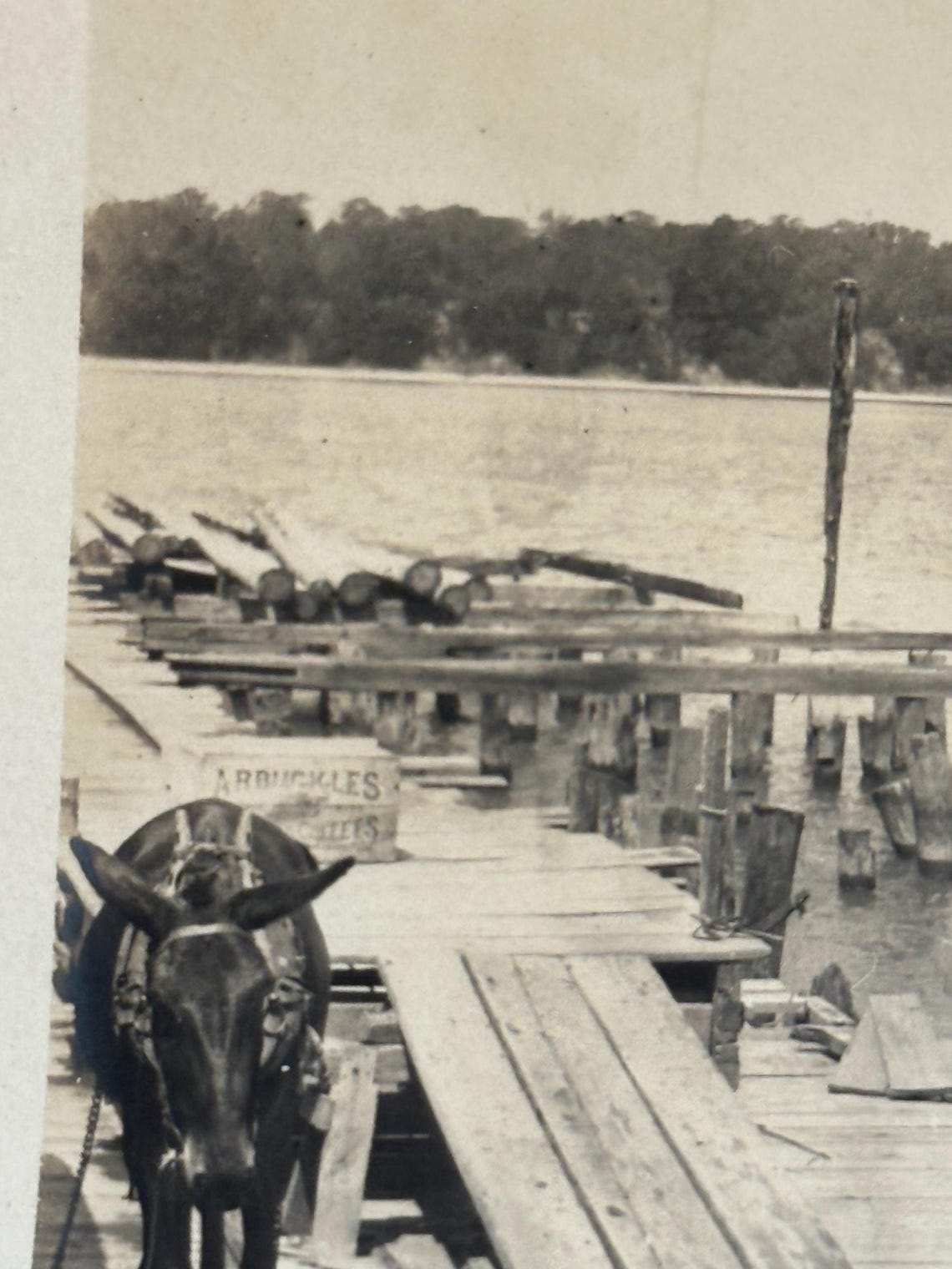 Fabulous Antique Photo Fashionable African American Family at Dock With ...