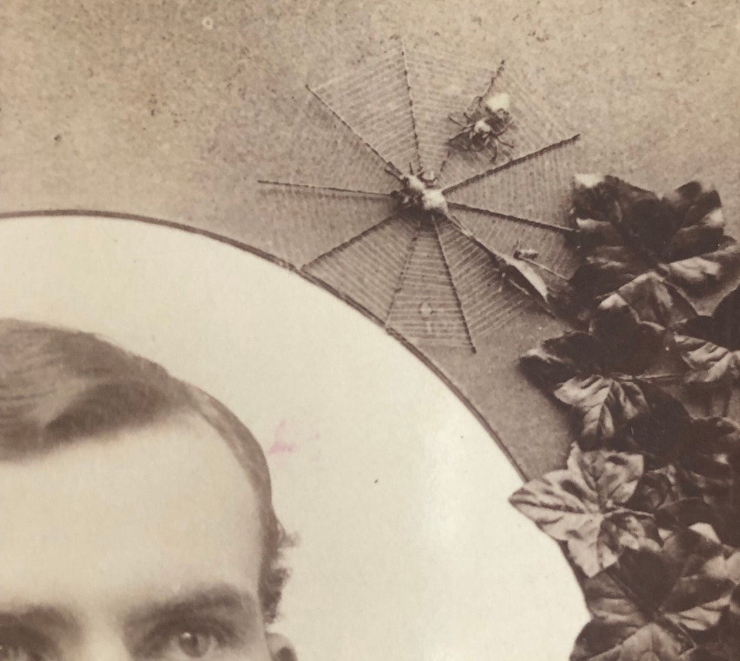 Antique Cabinet Card Photo Rare Spider Web Decor Halloween Birds ...