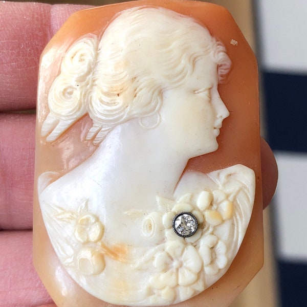 Carved Shell Cameo - Etsy