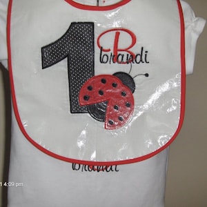 Ladybug Beetle Appliques Machine Embroidery Designs Applique Pattern in ...