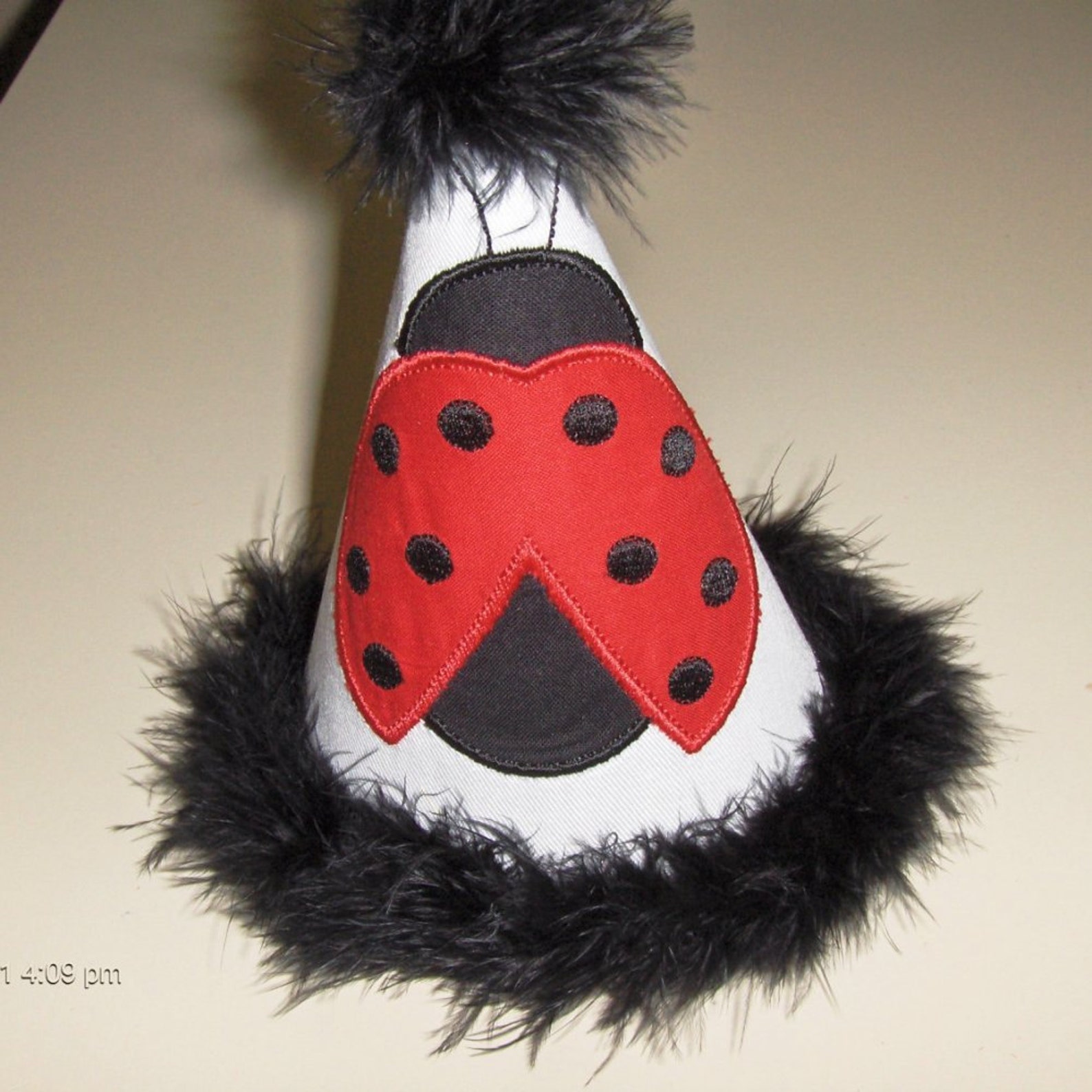 Ladybug Beetle Appliques Machine Embroidery Designs Applique Pattern in ...