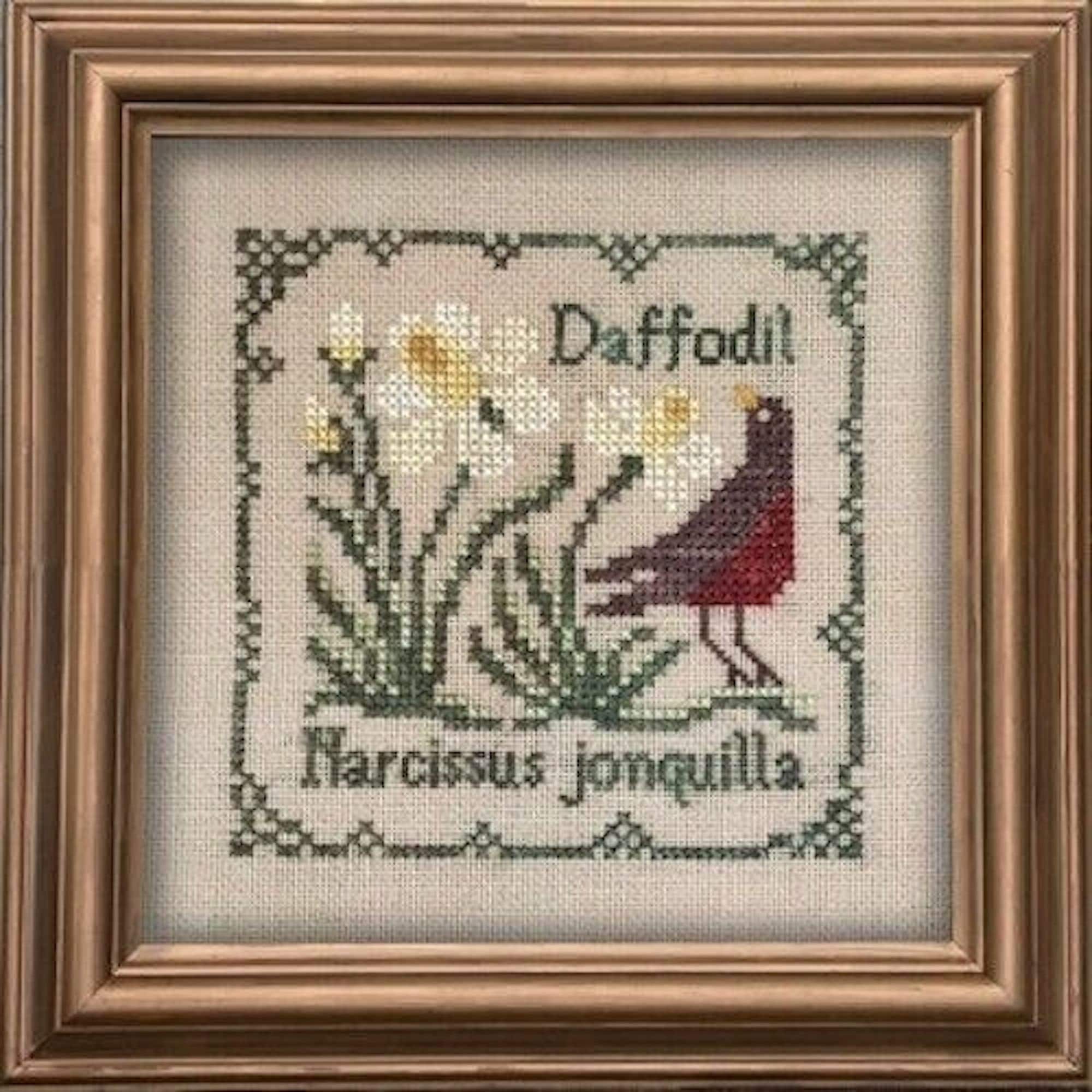 The Drawn Thread Cross Stitch Pattern DR294 Daffodil - Etsy