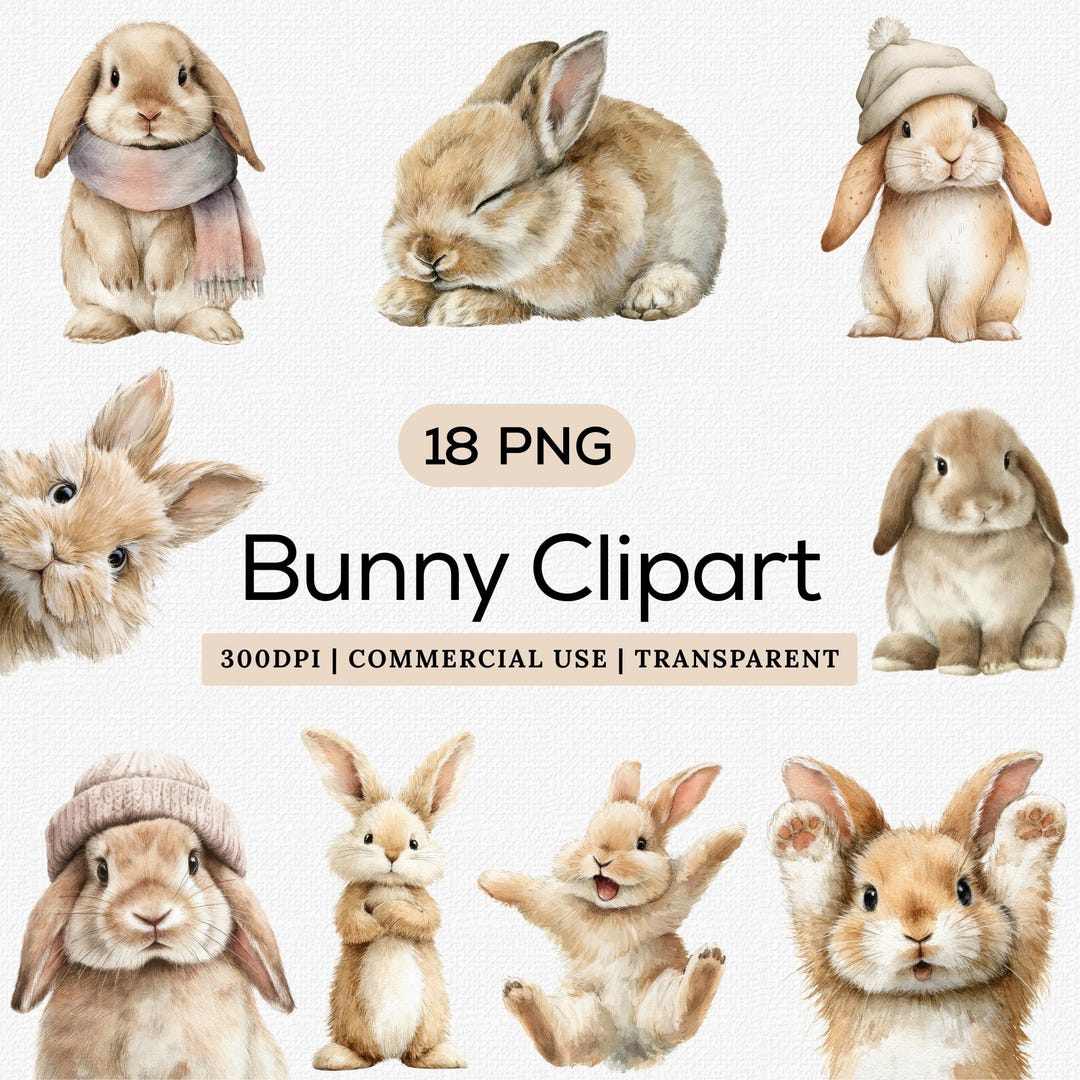 Cute Bunny Clipart | Boho Bunny, Rabbit Baby Shower, Coquette Nursery ...
