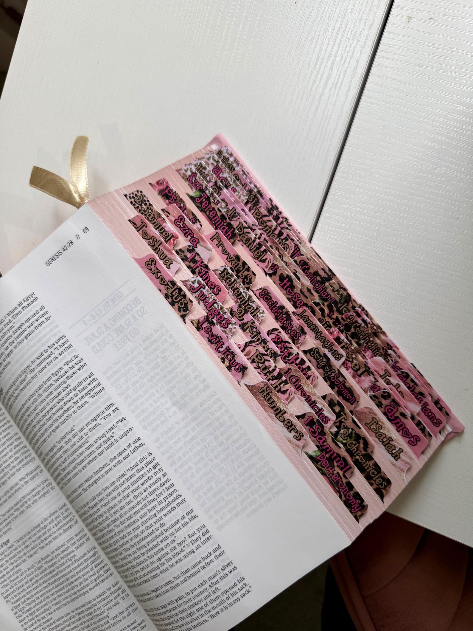Pink NIV JESUS BIBLE, Bible With Cheetah Tabs & 3 Piece Bow Set ...