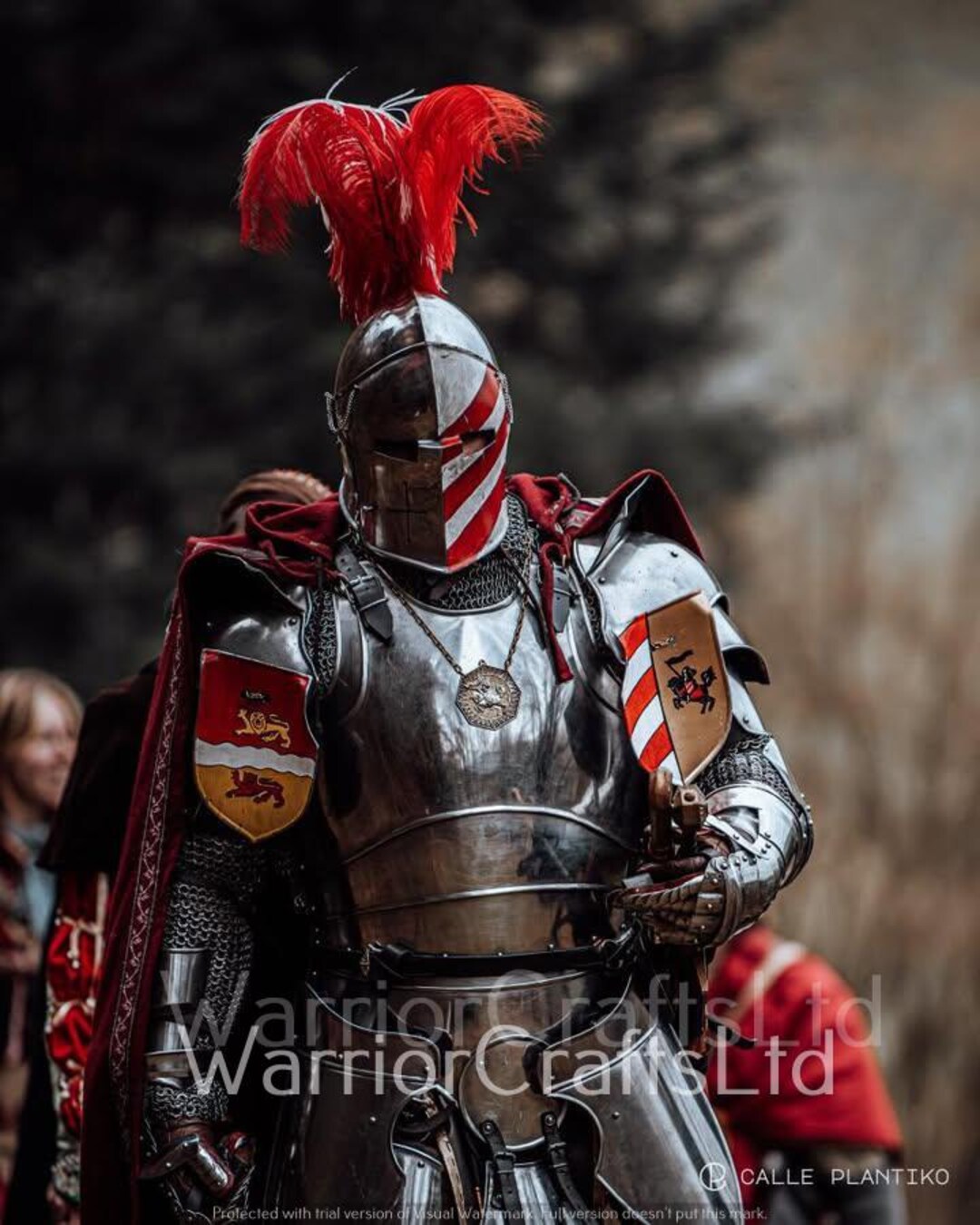 Royal Crusader Knight Full Armor Set | Medieval Barbuta Full Suit ...