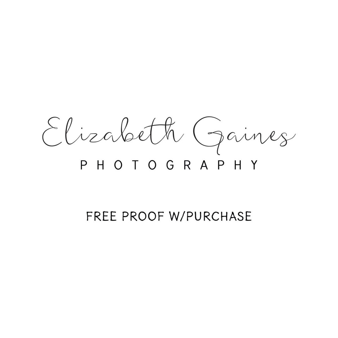 Custom Business Photography Stamp, Personalized Business Stamp, Custom ...