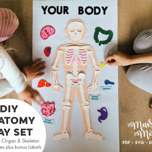Human Anatomy Busy Book Printable Human Body Poster Anatomy - Etsy Canada