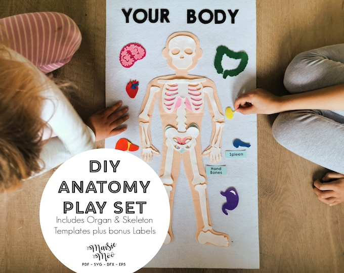 Pattern for Body Felt Board // Kids Felt Wall - Montessori // Anatomy ...