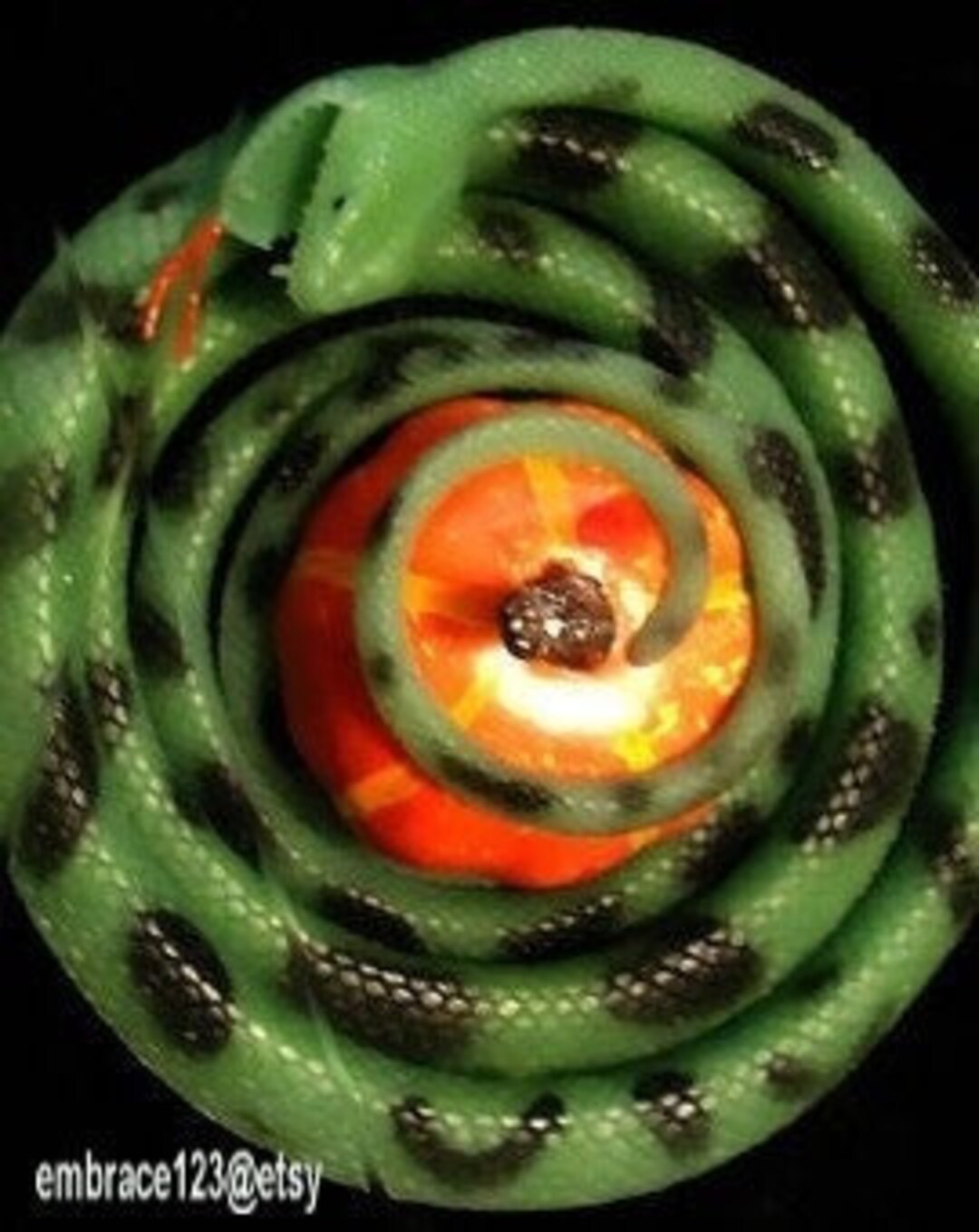 HALLOWEEN SNAKE PROP, Snake, Coiled, Green, Black, Rubber Vinyl ...