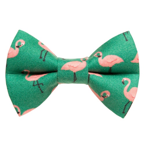 Cat Bow Tie the Next Stop Miami' Flamingo - Etsy