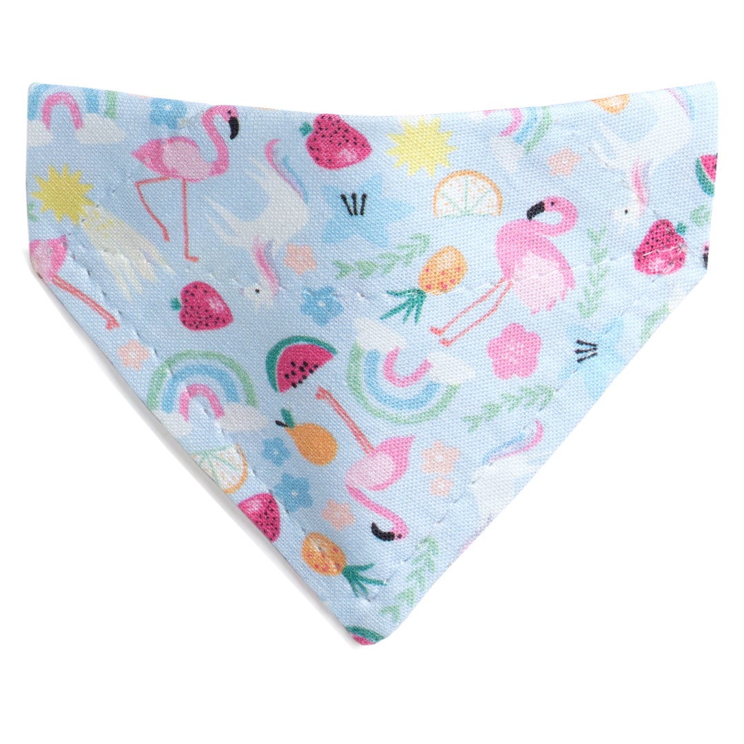 Cat Bandana - "the Hot Cat Summer" - Summer Fun Print Bandana for Cat ...