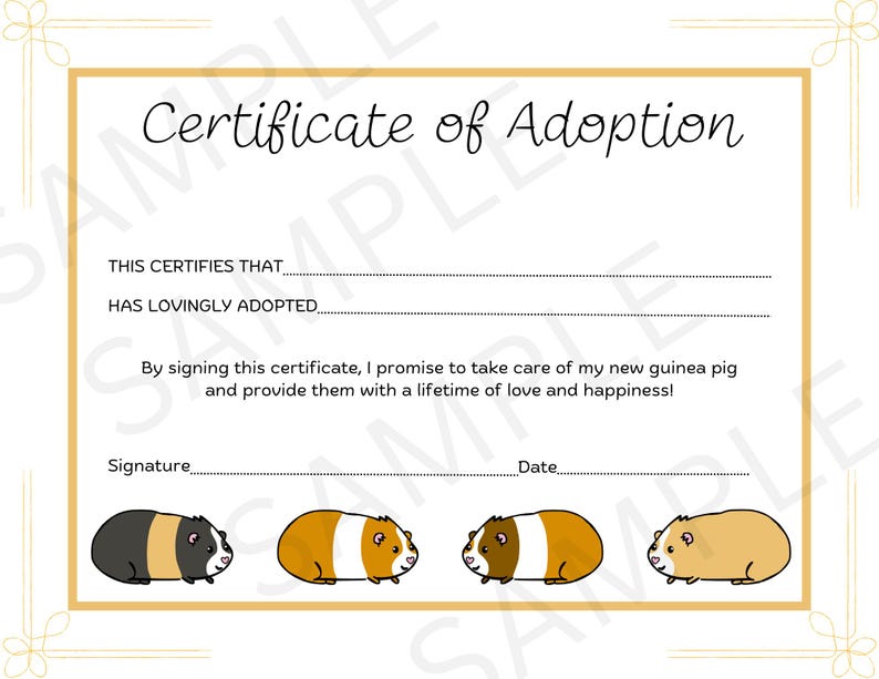 Guinea Pig Adoption Certificate Digital Download - Etsy