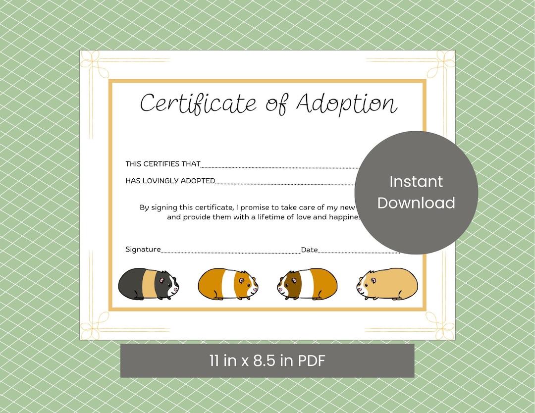 Guinea Pig Adoption Certificate Digital Download - Etsy