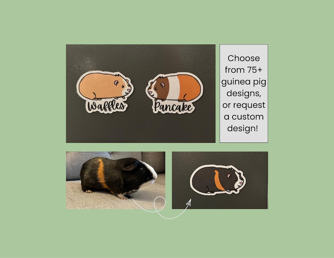 Custom Guinea Pig Magnet: Personalized Pet Portrait Refrigerator Decal ...
