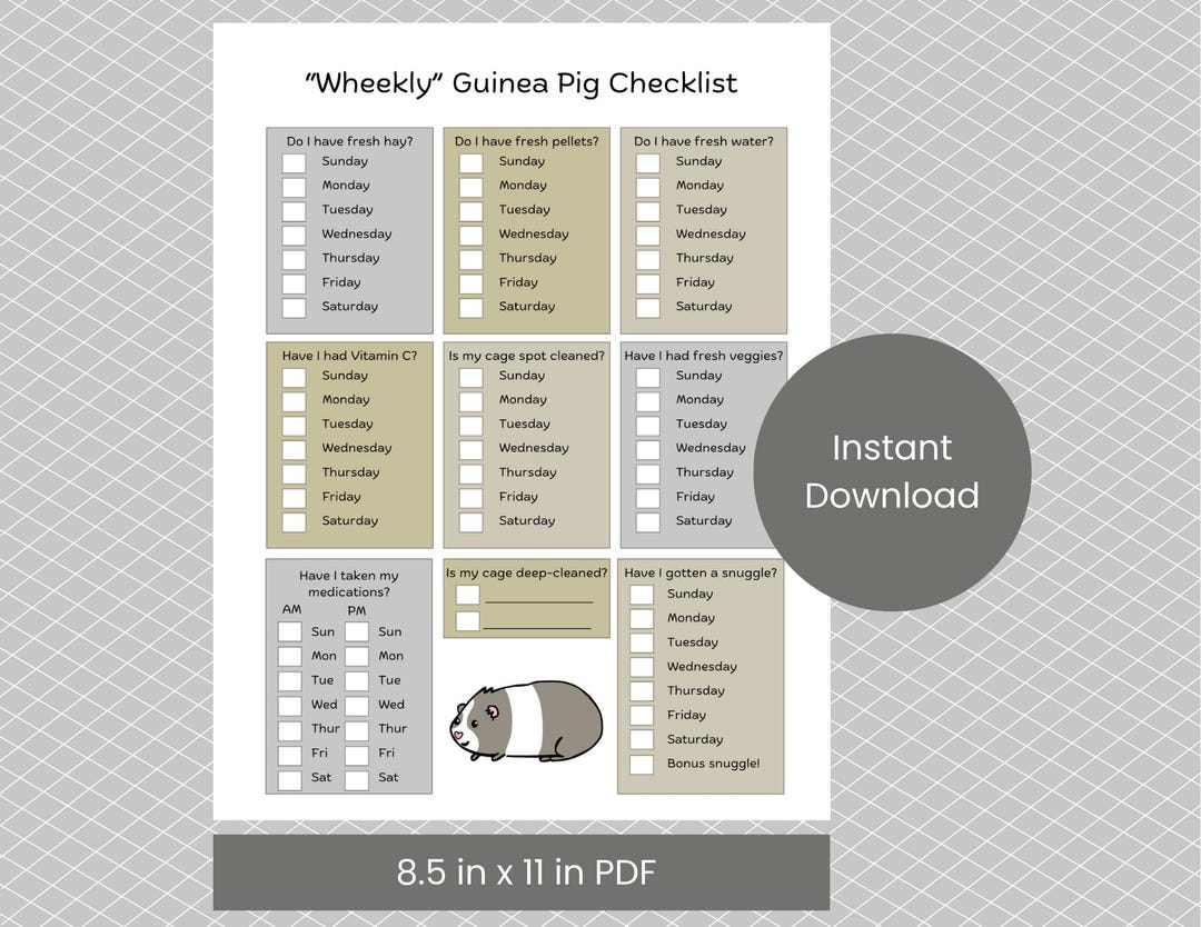 Weekly Guinea Pig Checklist Care Planner - Etsy