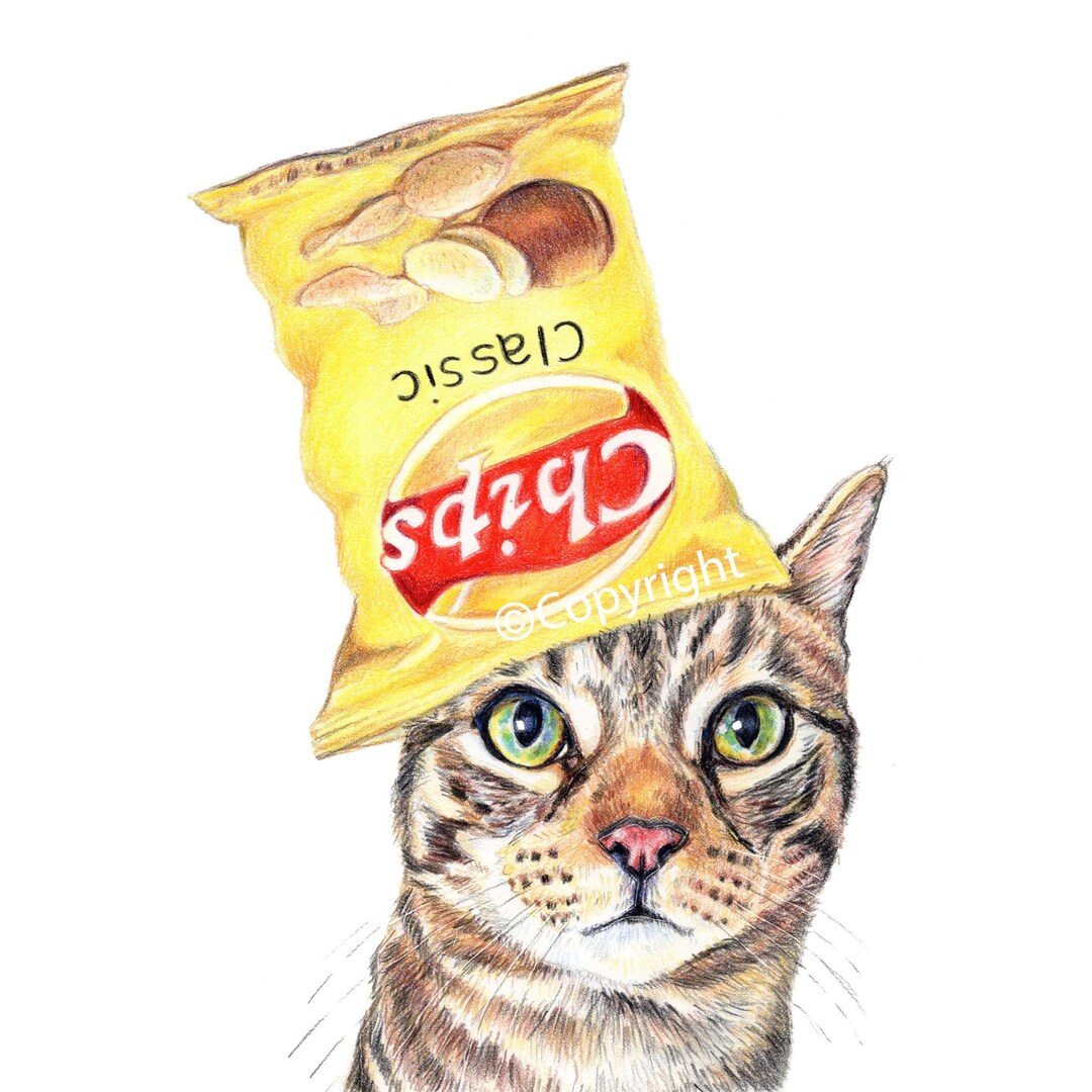Chip the Cat Coloured Pencil Drawing of a Brown Tabby - Etsy