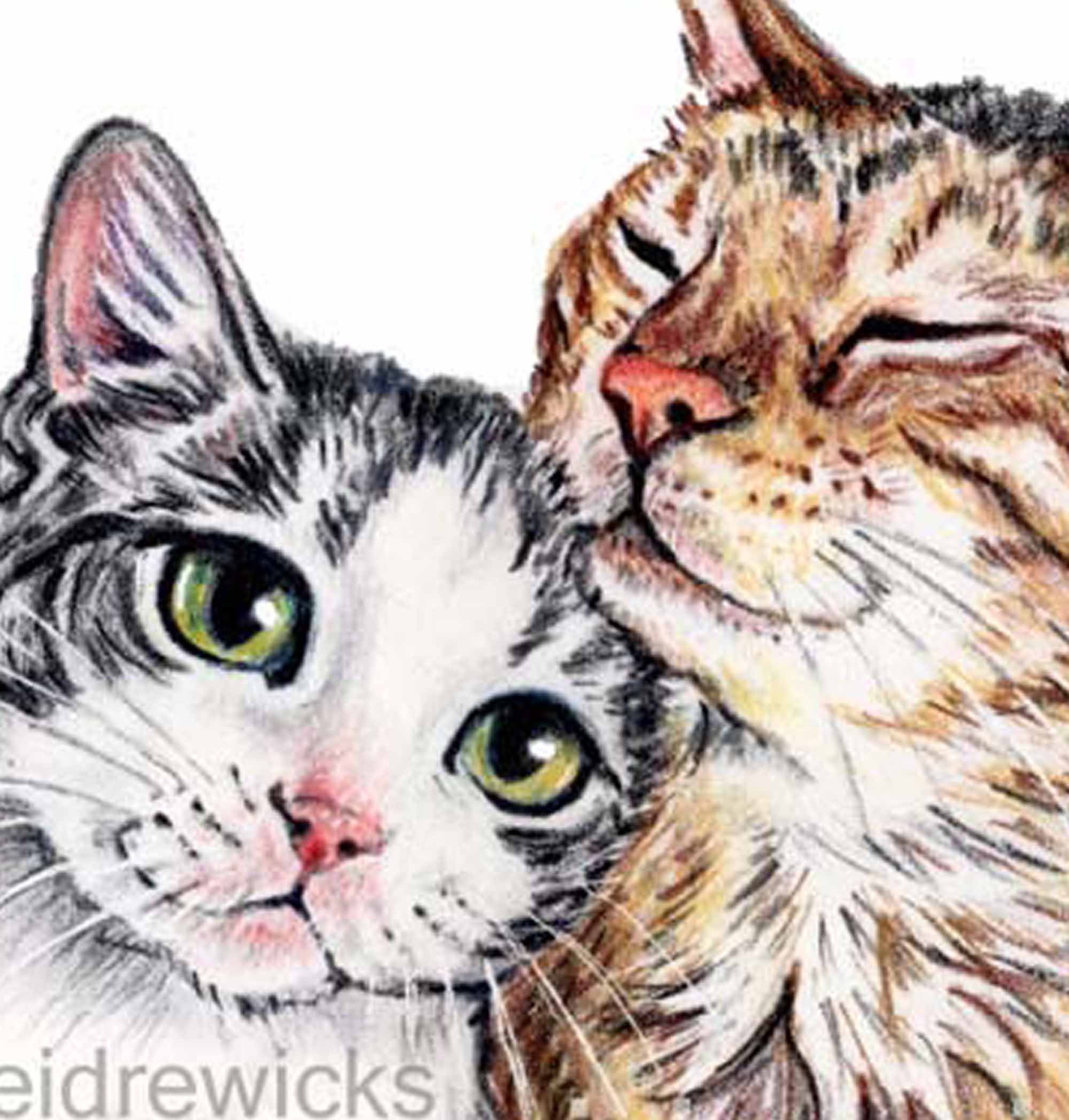 Cats in Love Print - Coloured Pencil Drawing, Pencil Crayon, Animal Art ...