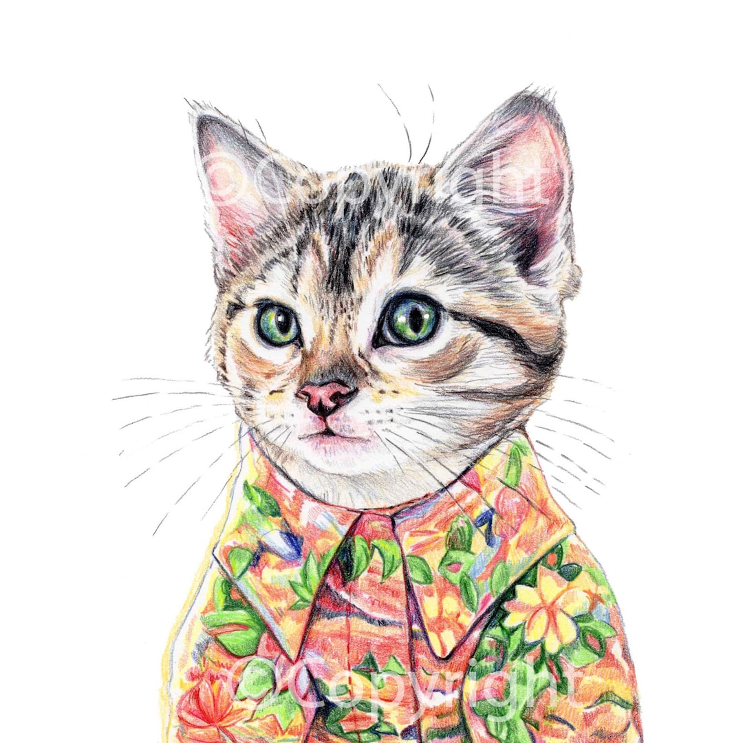 Hawaiian Kitten Coloured Pencil Drawing of a Calico Cat - Etsy
