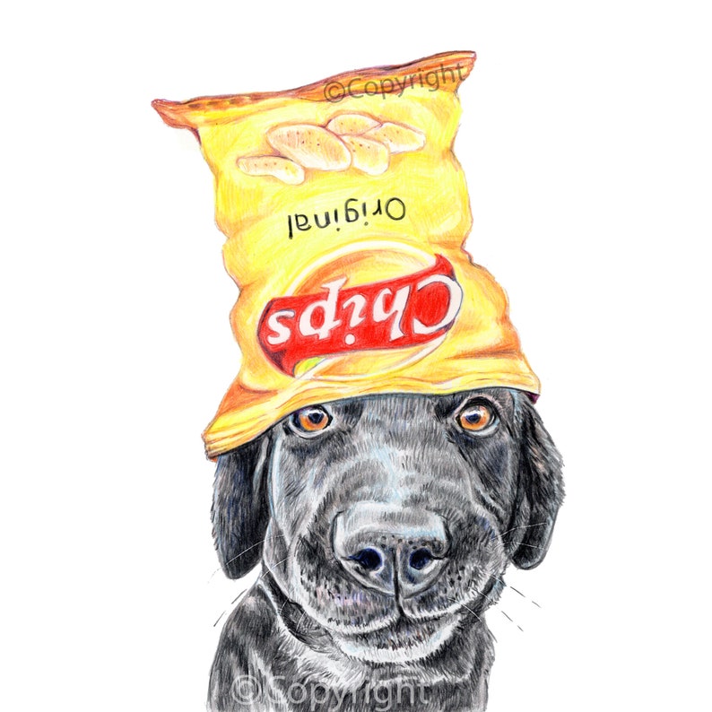 Black Lab Dog Wearing a Chip Bag as a Hat Watercolour Painting - Etsy